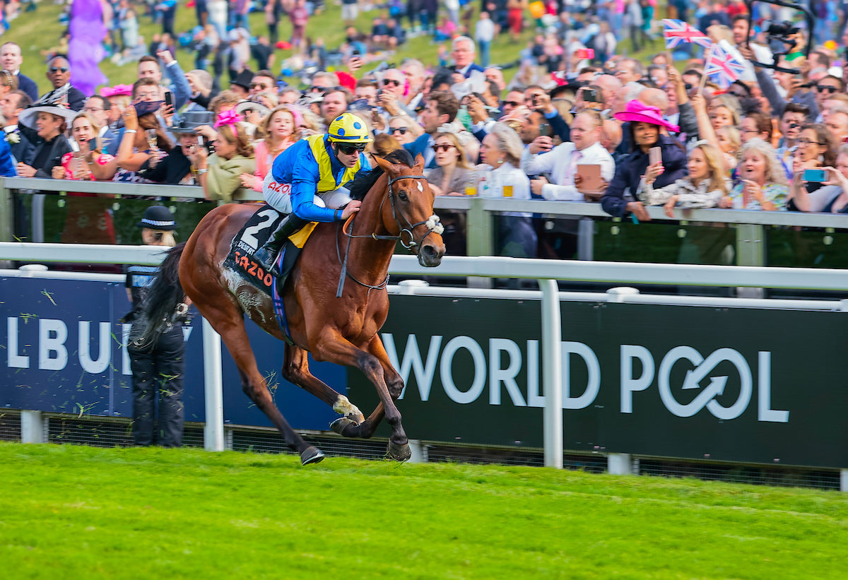 Stallion Book Snippets #2 - Nathaniel & Zarak – Weatherbys Shop