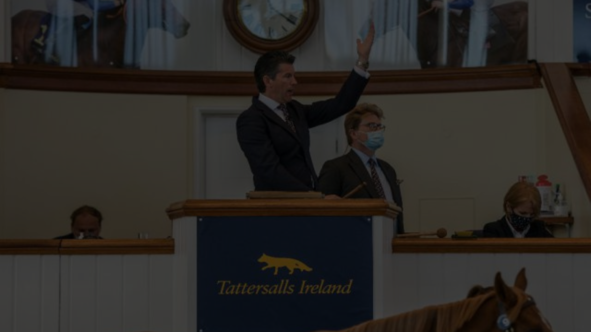 Tattersalls Ireland – Weatherbys Shop